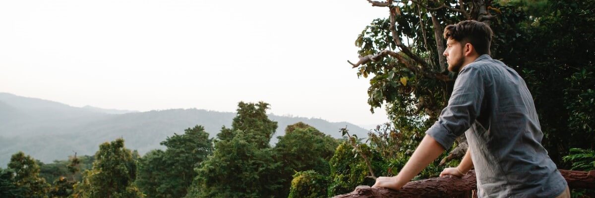 Guided Forest Therapy Walk - Royal National Park | Envirotivity