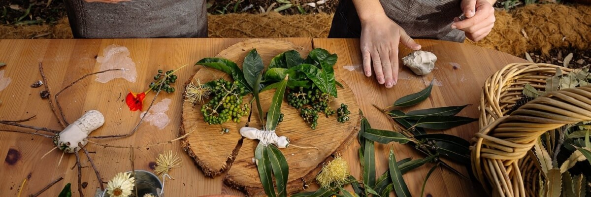 We're Going on a Bug Hunt - Blue Mountains Botanic Garden | Envirotivity