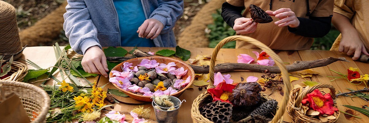 First Nations Flower Power - Australian Botanic Garden | Envirotivity
