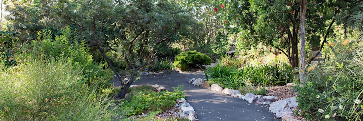 Spotlighting at Joseph Banks Native Plant Reserve | Envirotivity