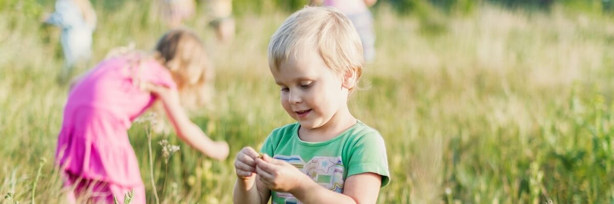 Park Science - Incredible Insects - Callan Park - Autumn 2025 ...