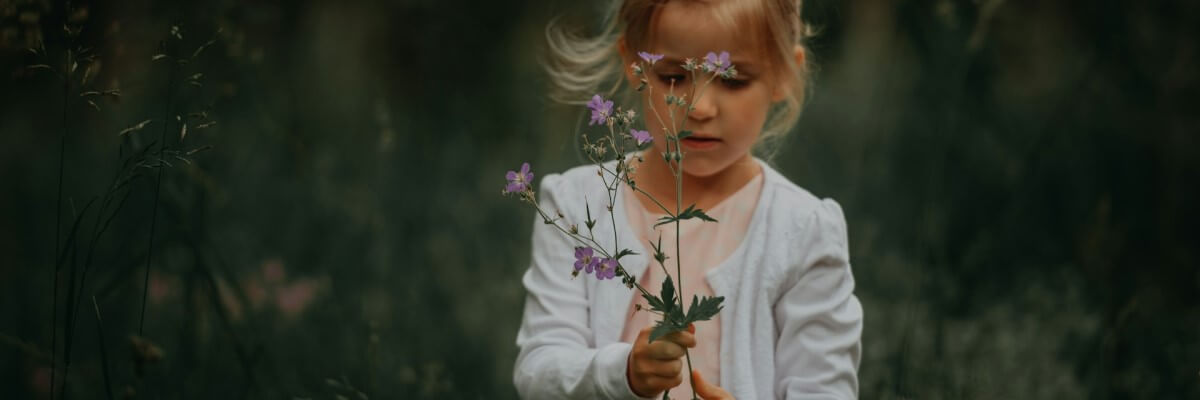 Life in colour and the season of Burrugin | Envirotivity