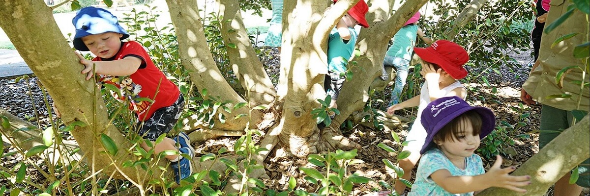Introduction to Outdoor Learning, Bush School & Nature Play | Envirotivity